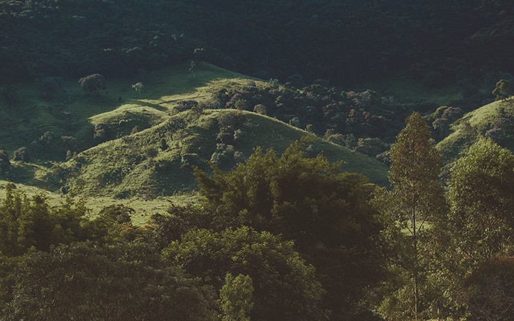 Designing a Home for The Sunshine Coast Region - Tips from a Sunshine ...